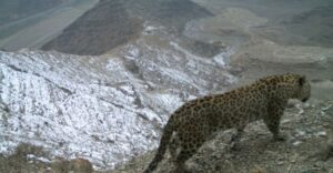 Azerbaycan'ın Tarihi, Dini, Ekonomisi, Yönetim Biçimi ve İklimi - Evren ...